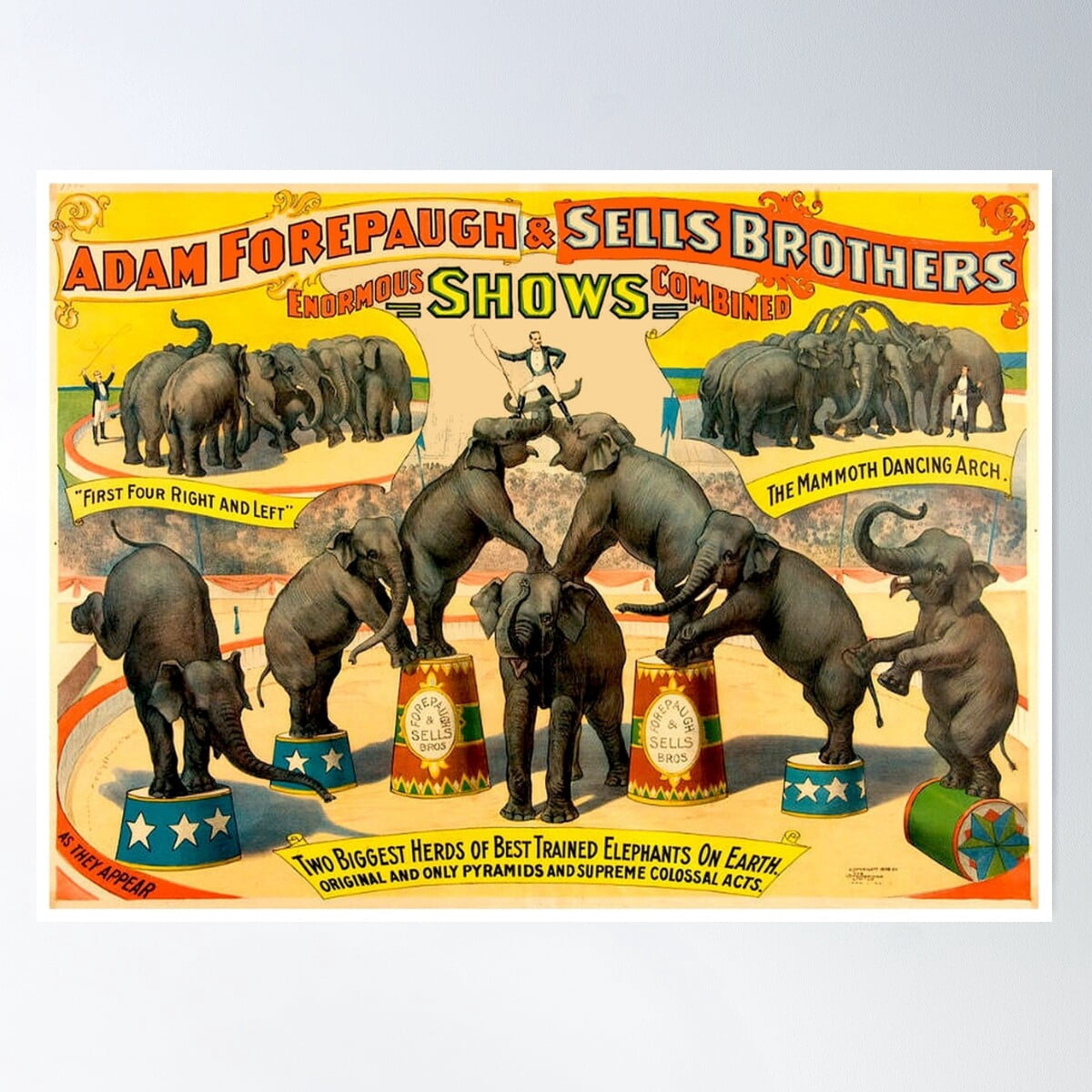 Adam Forpaugh And Sells Brothers : Vintage Circus Prints Poster Wall ...