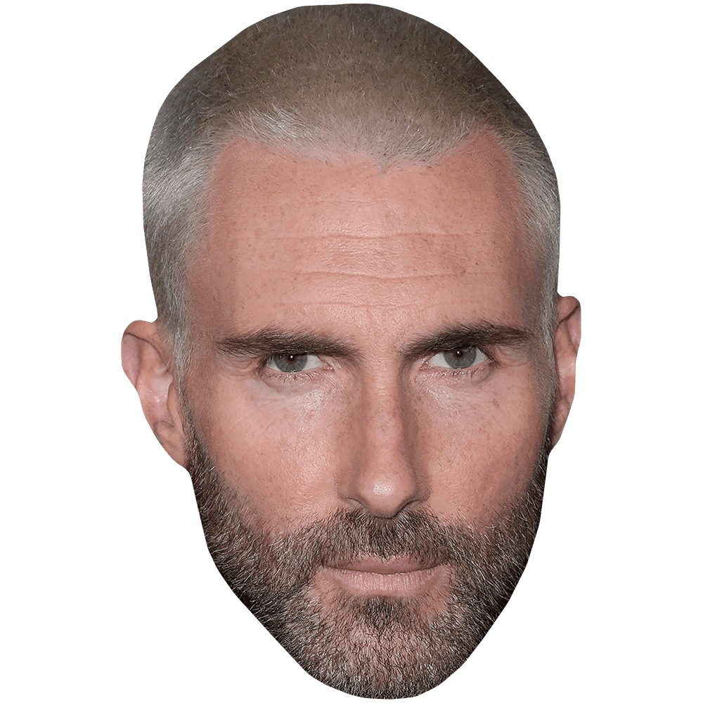 Adam Levine (Blonde Hair) Big Head. Larger than life mask. - Walmart.com
