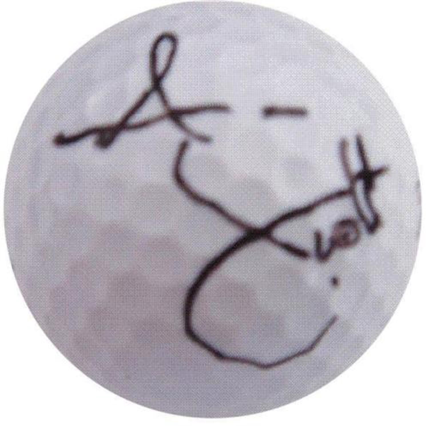 Adam Scott Autographed Golf Ball - Walmart.com