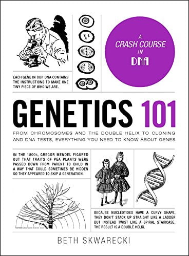 Pre-Owned Adams 101 Series: Genetics 101 : From Chromosomes and the ...