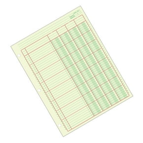 Ledger Sheets for Organized Record Keeping at Affordable Prices
