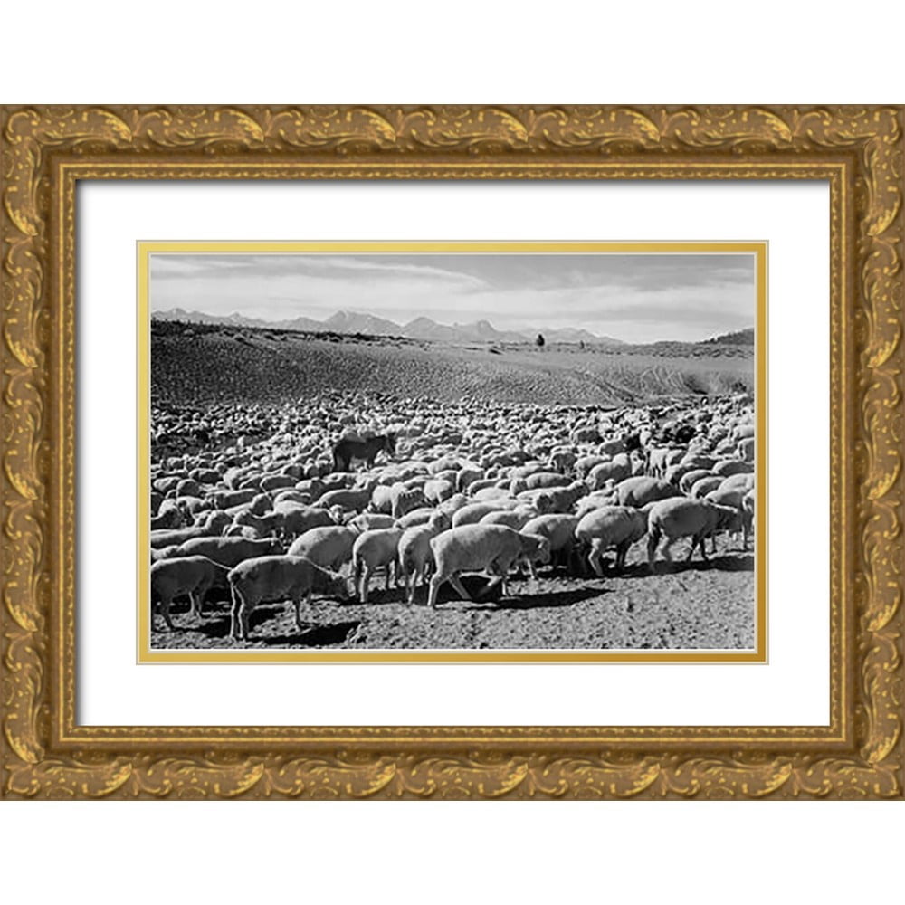 Adams, Ansel 18x13 Gold Ornate Wood Framed with Double Matting Museum ...