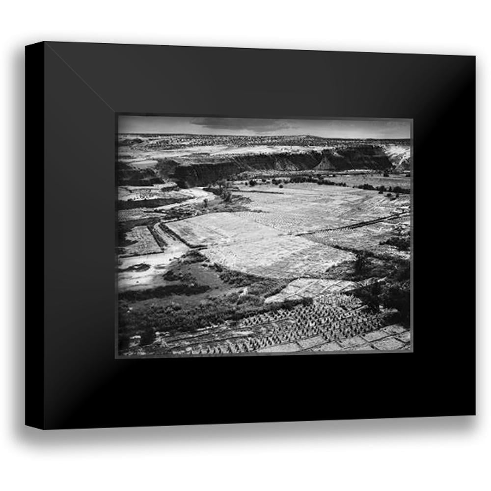 Adams, Ansel 18x15 Black Modern Framed Museum Art Print Titled - Corn ...