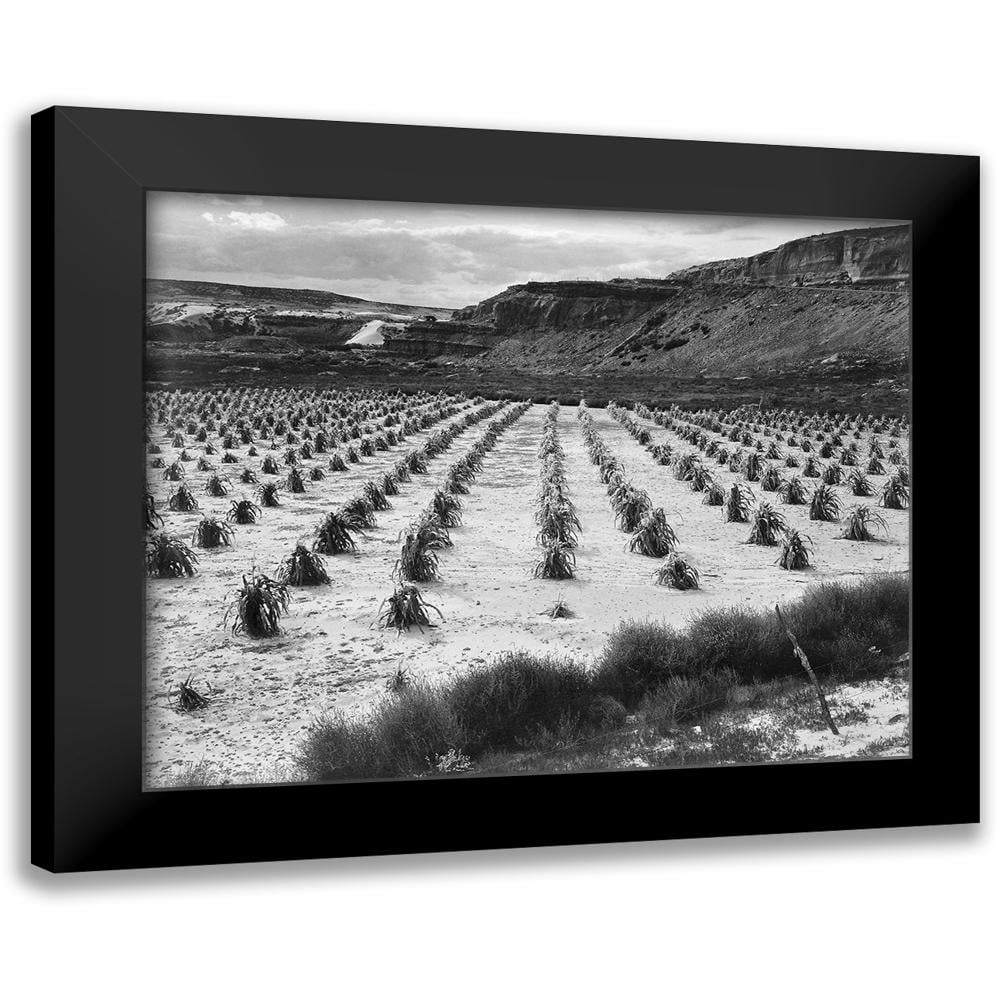 Adams, Ansel 18x15 Black Modern Framed Museum Art Print Titled ...