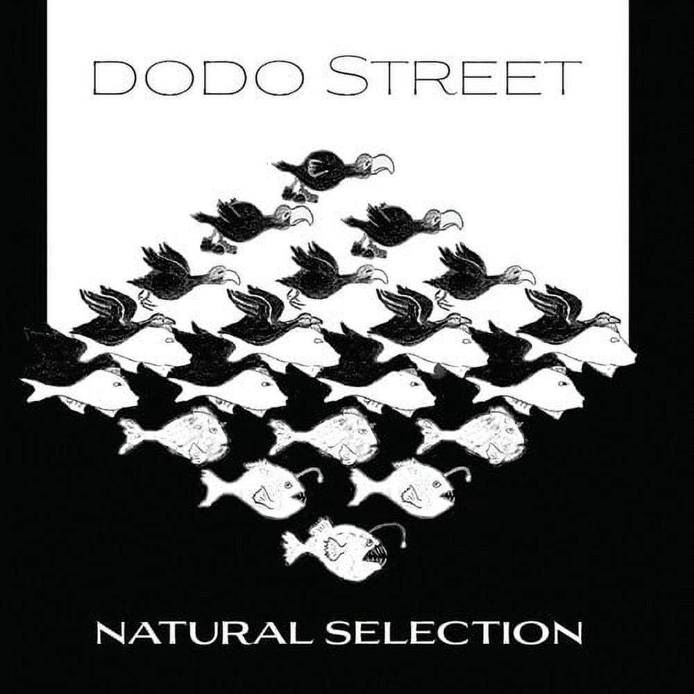 Adams / Dodo Street Band / Byrne - Natural Selection - Music ...