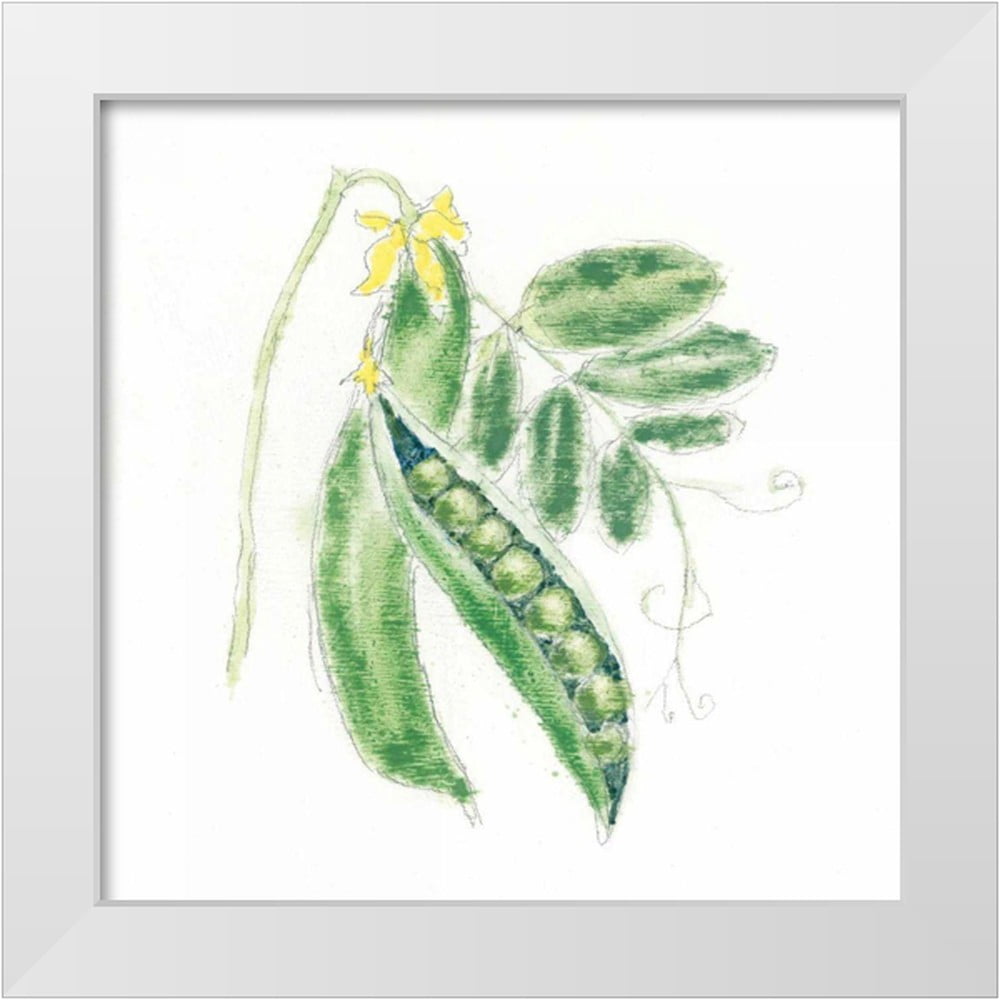 Adams, Emily 20x20 White Modern Wood Framed Museum Art Print Titled ...