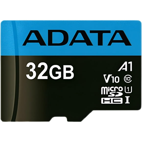 32GB Micro Class 10 SD Cards