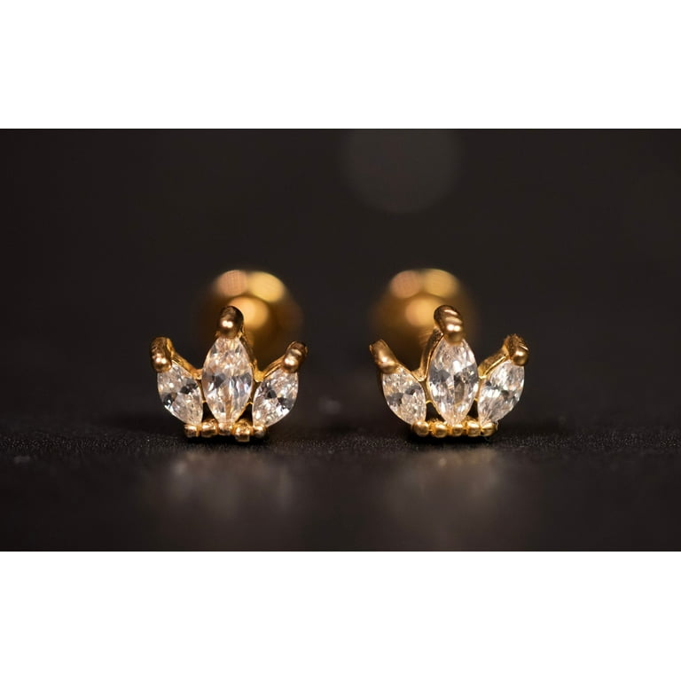 ChicBianca Crown CZ Cartilage Stud Earrings 16G Titanium Flat Back Screw In Helix and Tragus Piercing for Adult teens women