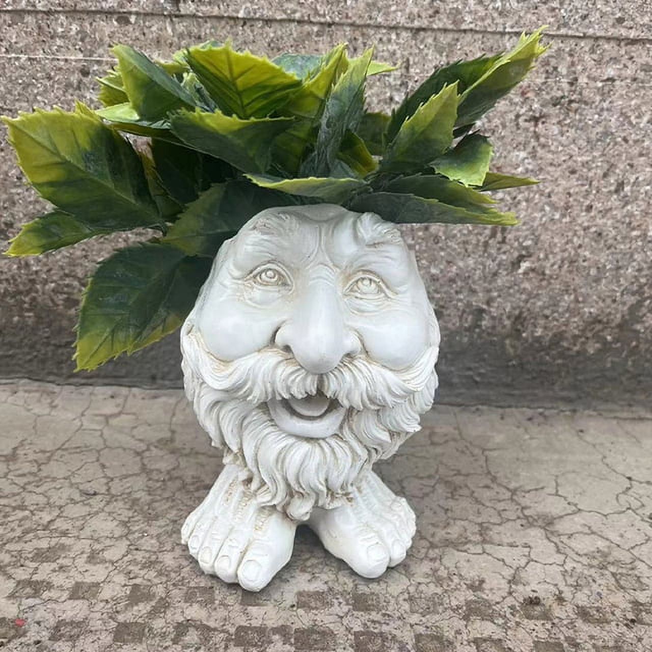 HWERIDOEV Creative Quirky Resin Funny Muggle Face Succulent Plant ...
