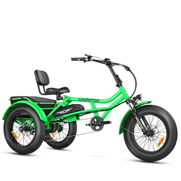 Addmotor Trike