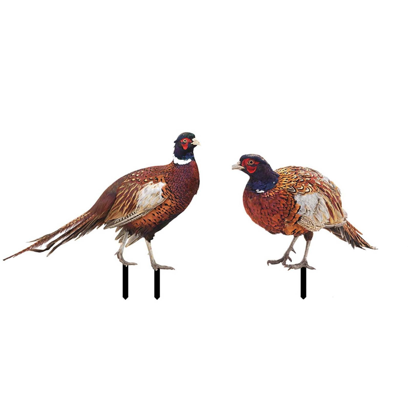 Address for Rain Gauge Outdoor with Stake Flag And Flag Holder Ceramic ...