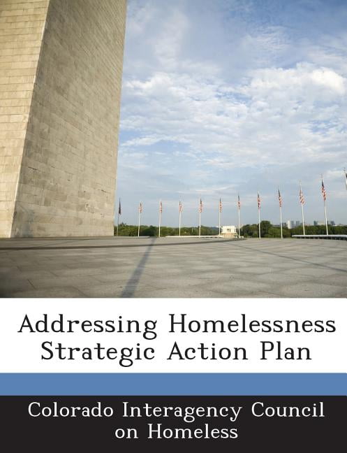 Addressing Homelessness Strategic Action Plan (Paperback) - Walmart.com
