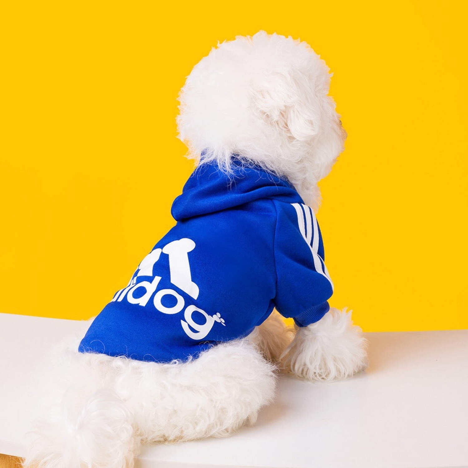 Adidog Hoodie | Medium to Large Dogs - Walmart.com