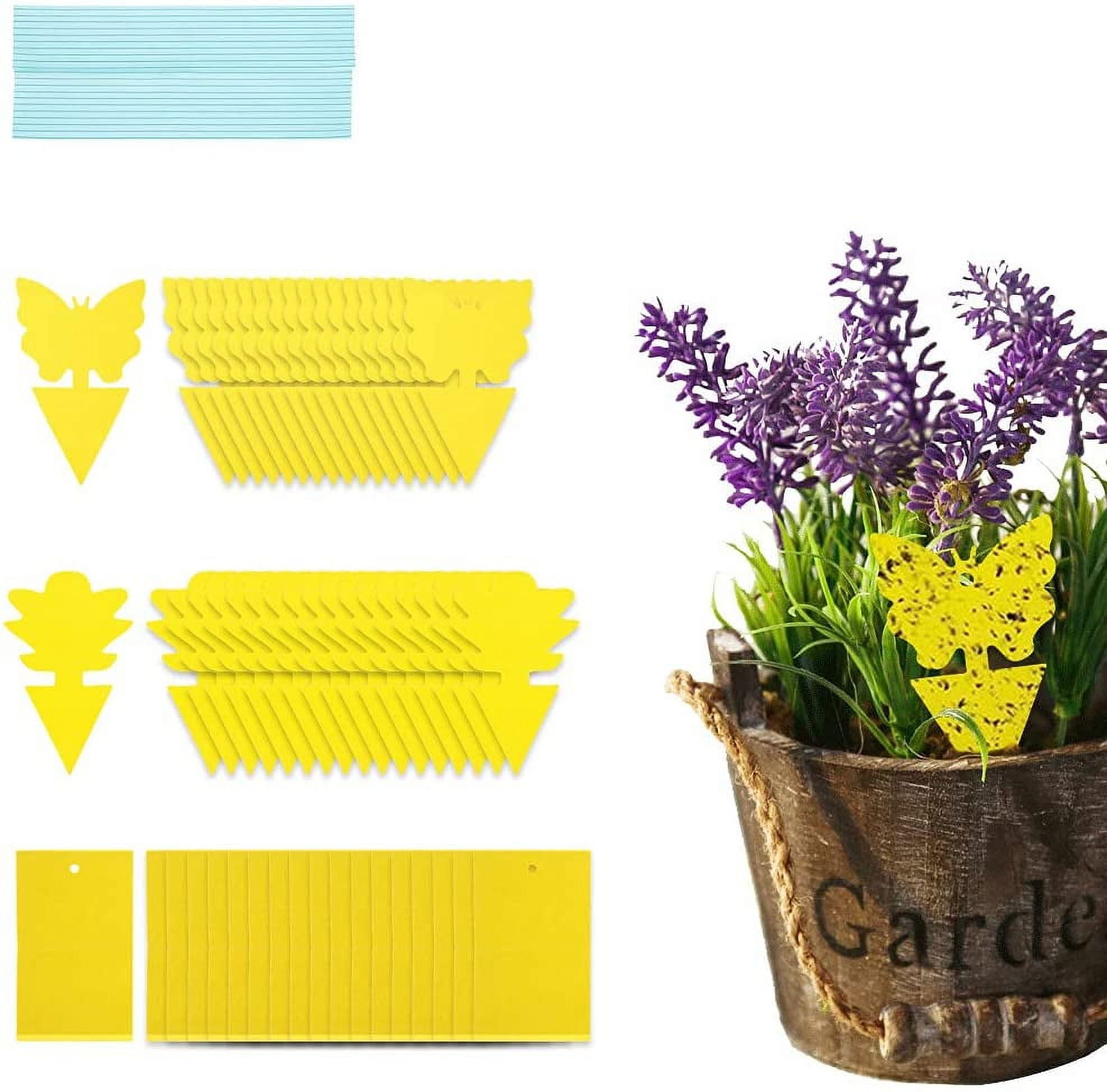 Adifare 54 PCS Dual-Sided Sticky Traps - Indoor/Outdoor Bug Traps for ...