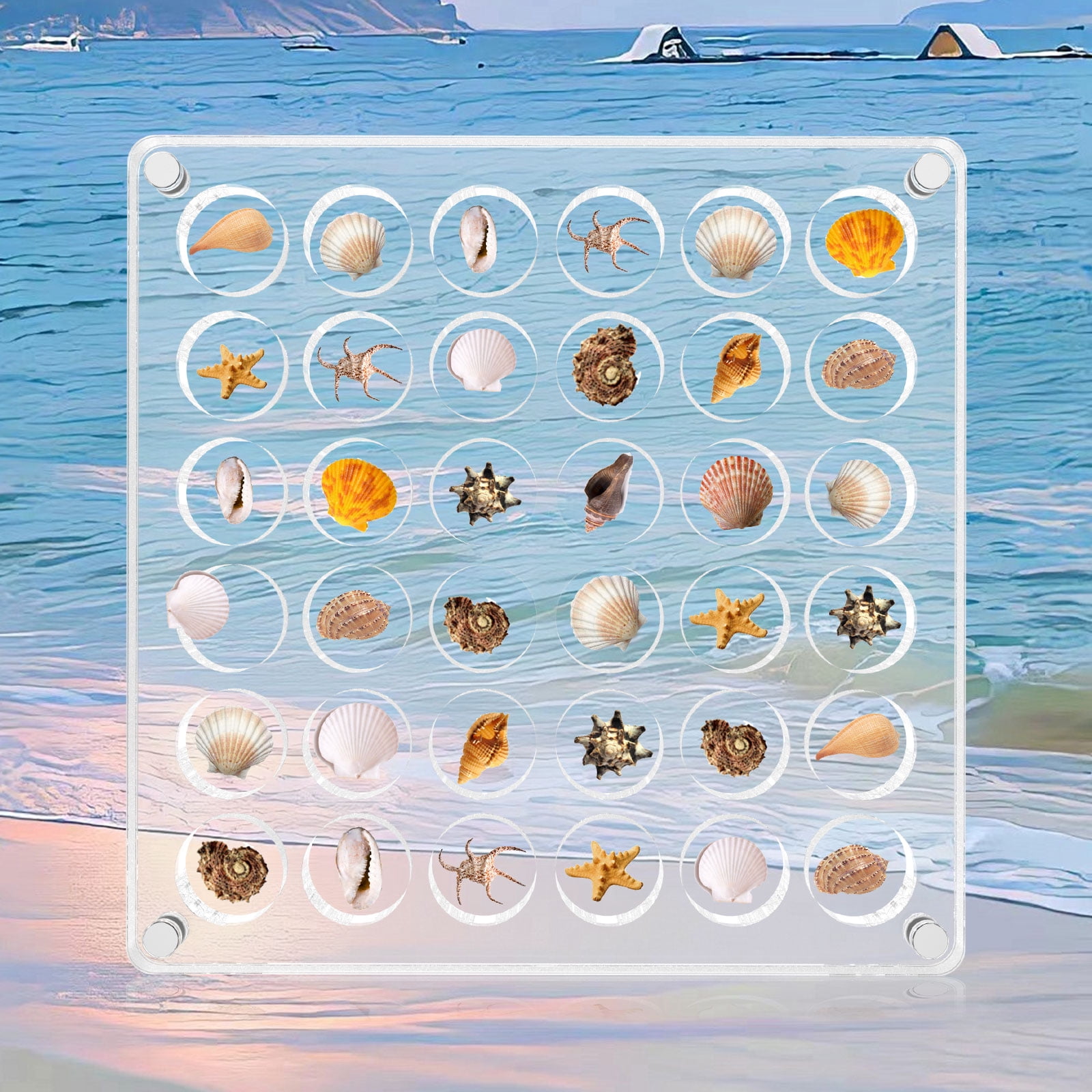 Adifare Seashell Display Box Clear Magnetic Acrylic Seashell Organizers ...