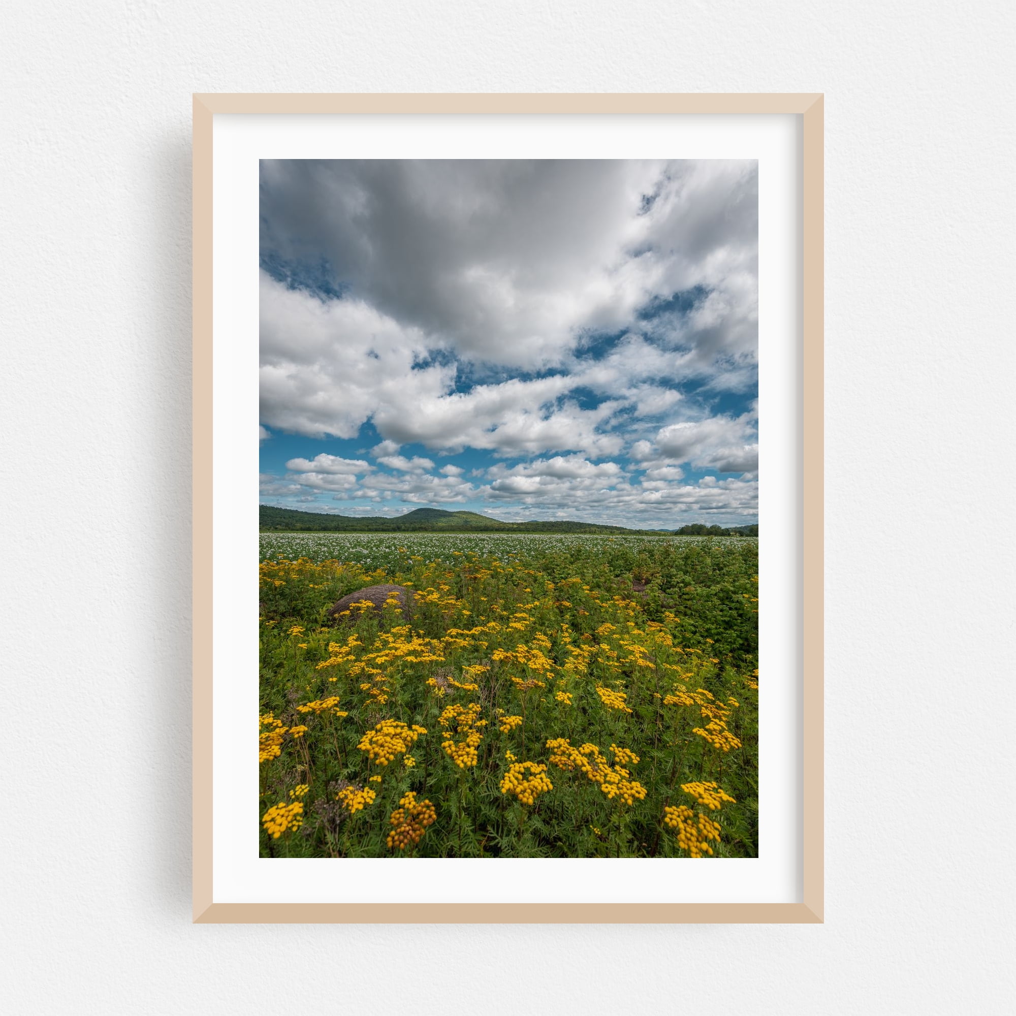 Adirondack Field - Paul Smiths New York Photography Nature Landscape ...