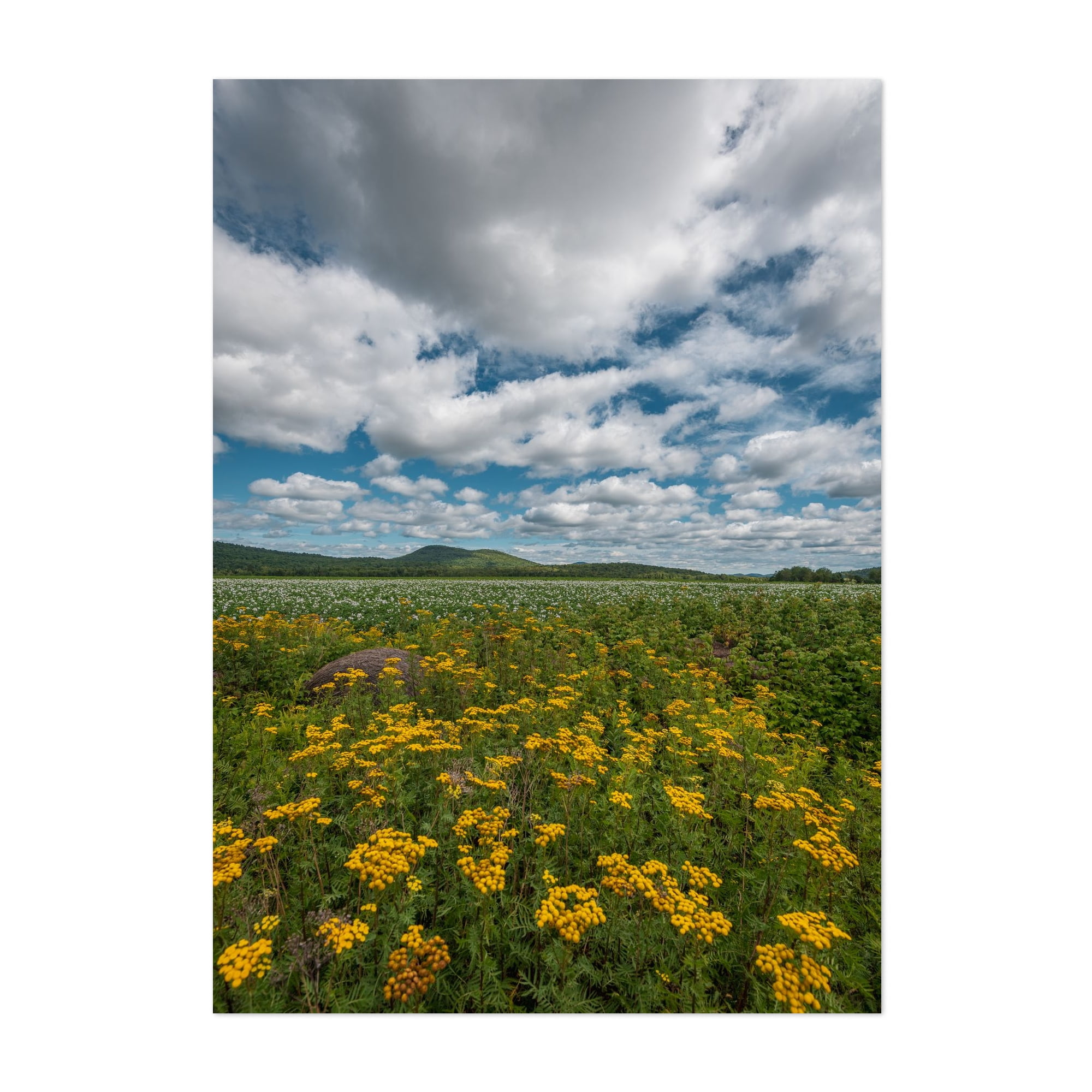 Adirondack Field - Paul Smiths New York Photography Nature Landscape ...