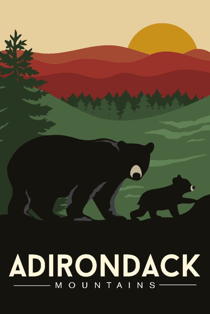 Adirondack Mountains, New York, Black Bear and Cub (16x24 Giclee ...