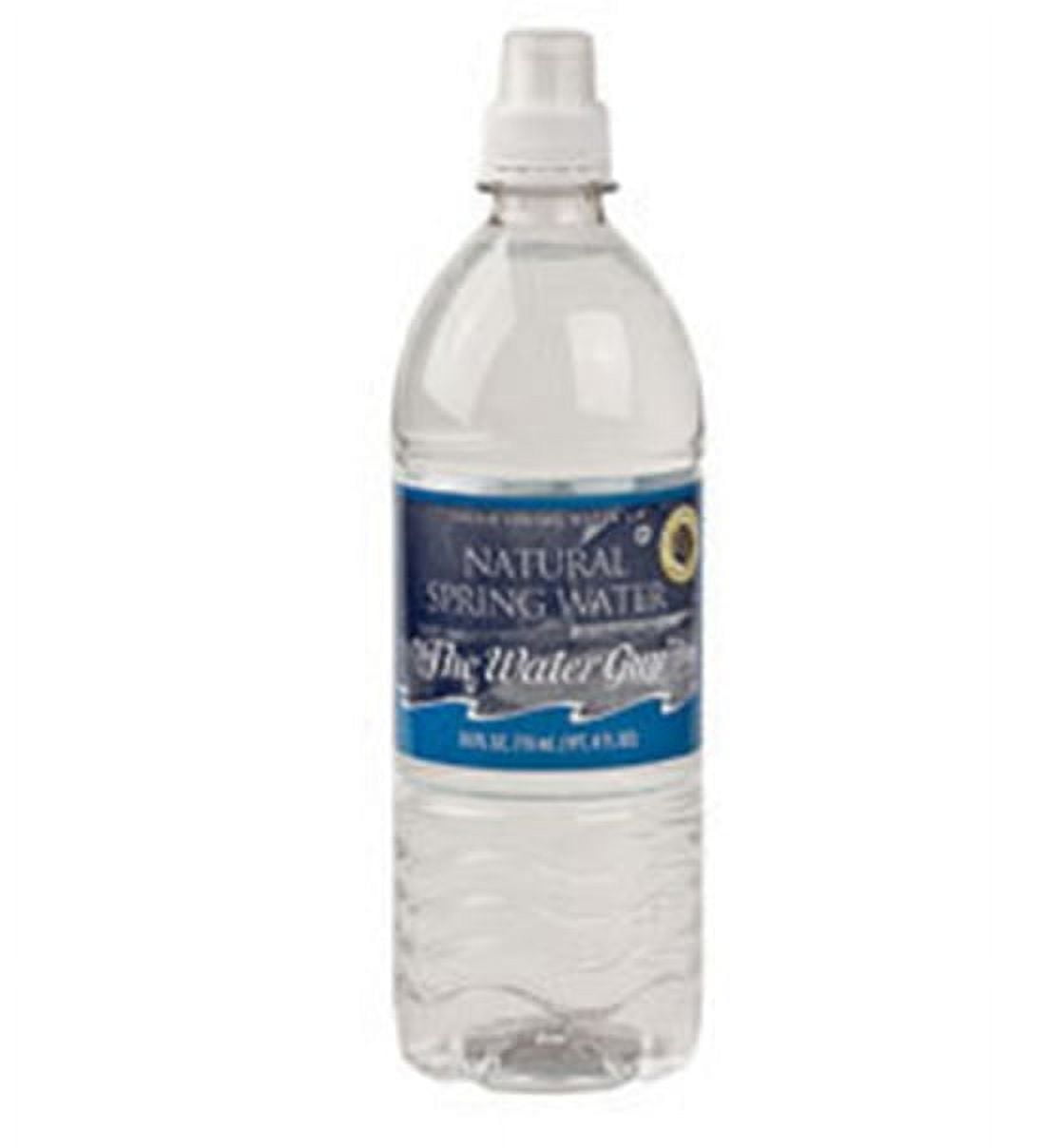 (10 pack) Adirondack Natural Spring Water, 24 Fl. Oz. - Walmart.com