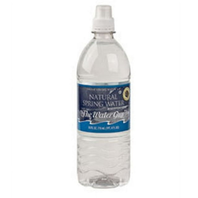 Adirondack Natural Spring Water, 24 Fl. Oz. - Walmart.com