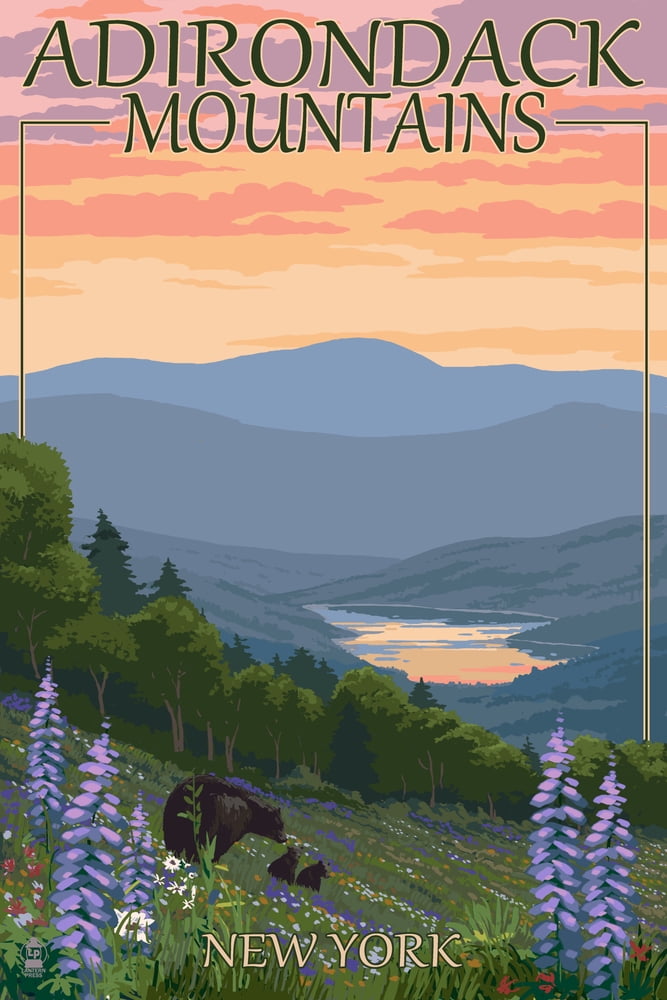 Adirondacks Mountains, New York State, Bears and Spring Flowers (16x24 ...