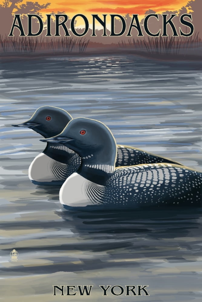 Adirondacks, New York, Loons at Sunset (24x36 Giclee Gallery Art Print ...