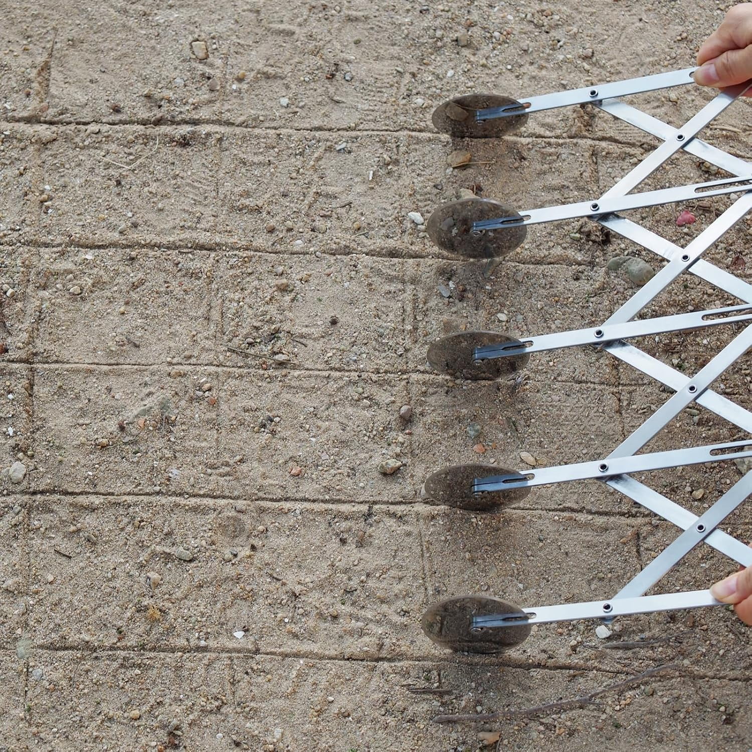 Adjustable 5-Wheel Seed Spacer Tool - Stainless Steel Garden Tool for ...