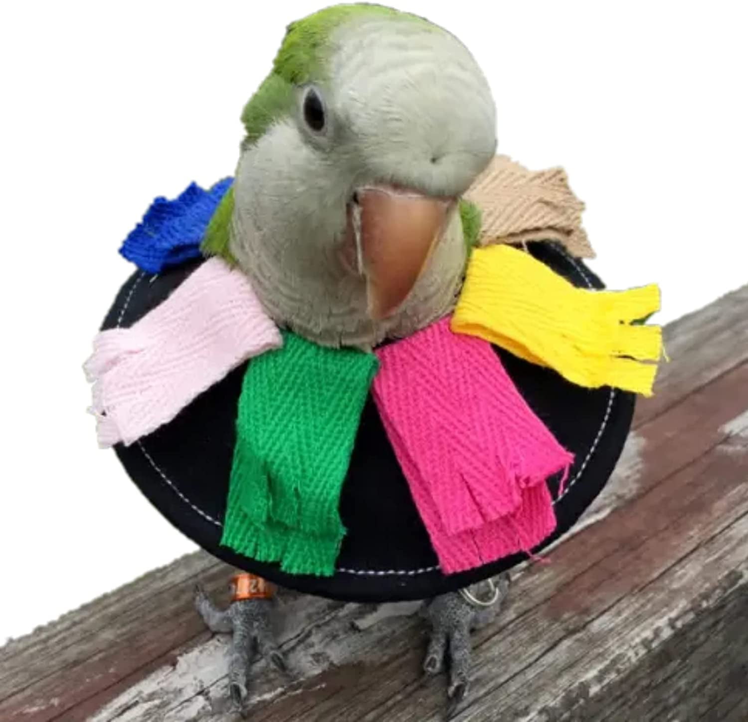Adjustable Bird Collar Anti Bite Elizabethan Recovery Cone, Bird Neck ...
