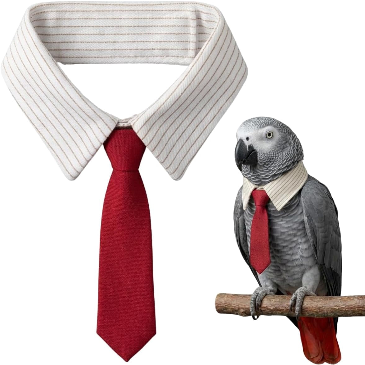 Adjustable Bird Collar, Fashion Necktie for Small Medium Birds Cockatoo ...