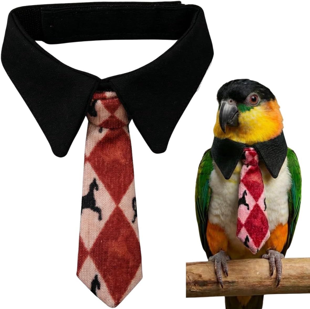 Adjustable Bird Collar, Fashion Necktie for Small Medium Birds Cockatoo ...