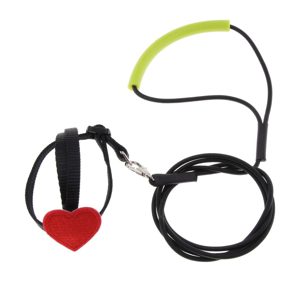 Adjustable Bird Harness And Leash for Birds, Parrots, Budgies ...