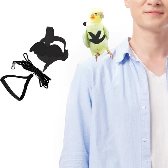 Adjustable Bird Leashes and Harnesses, Bird Nylon Harness with Cute ...