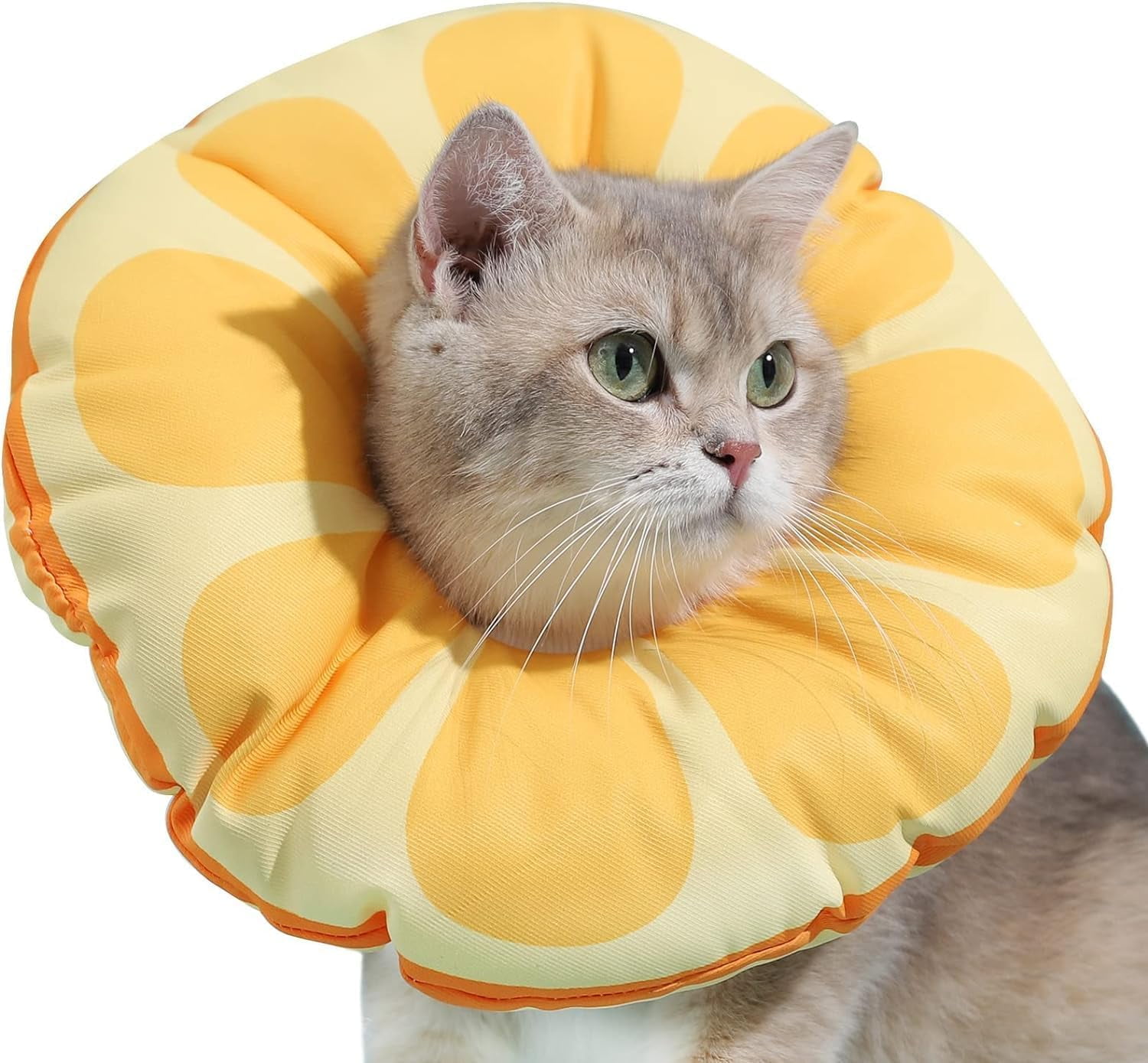 Adjustable Cat Cone Collar Soft, Cat Recovery Collar, Soft Elizabethan ...