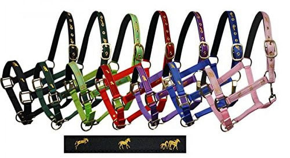 Adjustable Cob Size Neoprene Lined Nylon Halter w/ "Running Horse ...