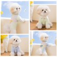 Adjustable Cool T-Shirt for Small and Medium Dogs - Spring and Summer ...