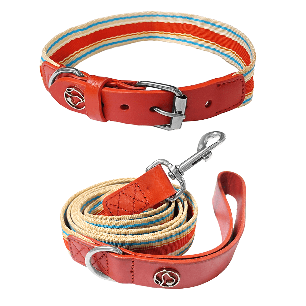 Adjustable Dog Collar and Leash Set for Small Medium Large Dogs (Collar ...
