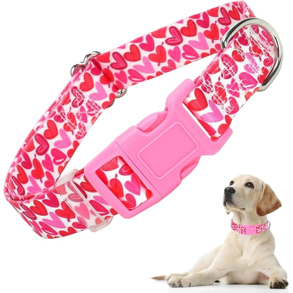 Adjustable Dog Collar with Safety Buckle Quick Release - Soft Nylon Pet ...