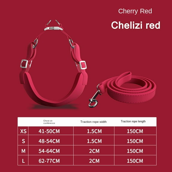 Adjustable Dog Collars for Small Breeds - Cute and Comfy Puppy ...