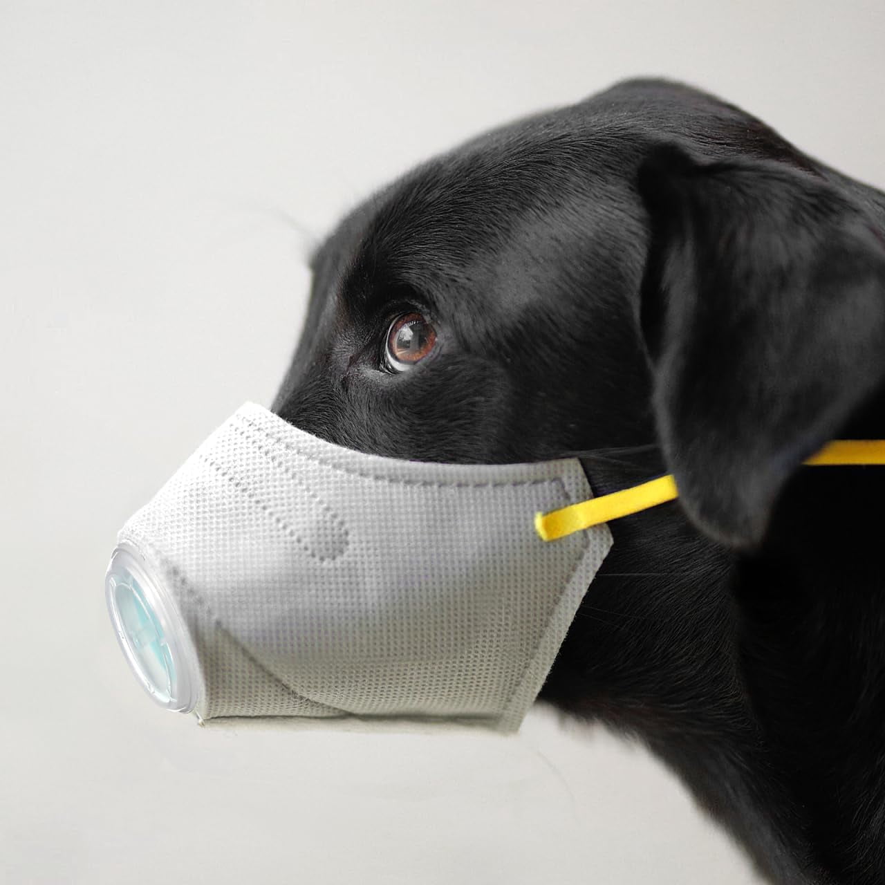 Adjustable Dog Gas Mask & Muzzle - Reusable Puppy Masks for Small ...