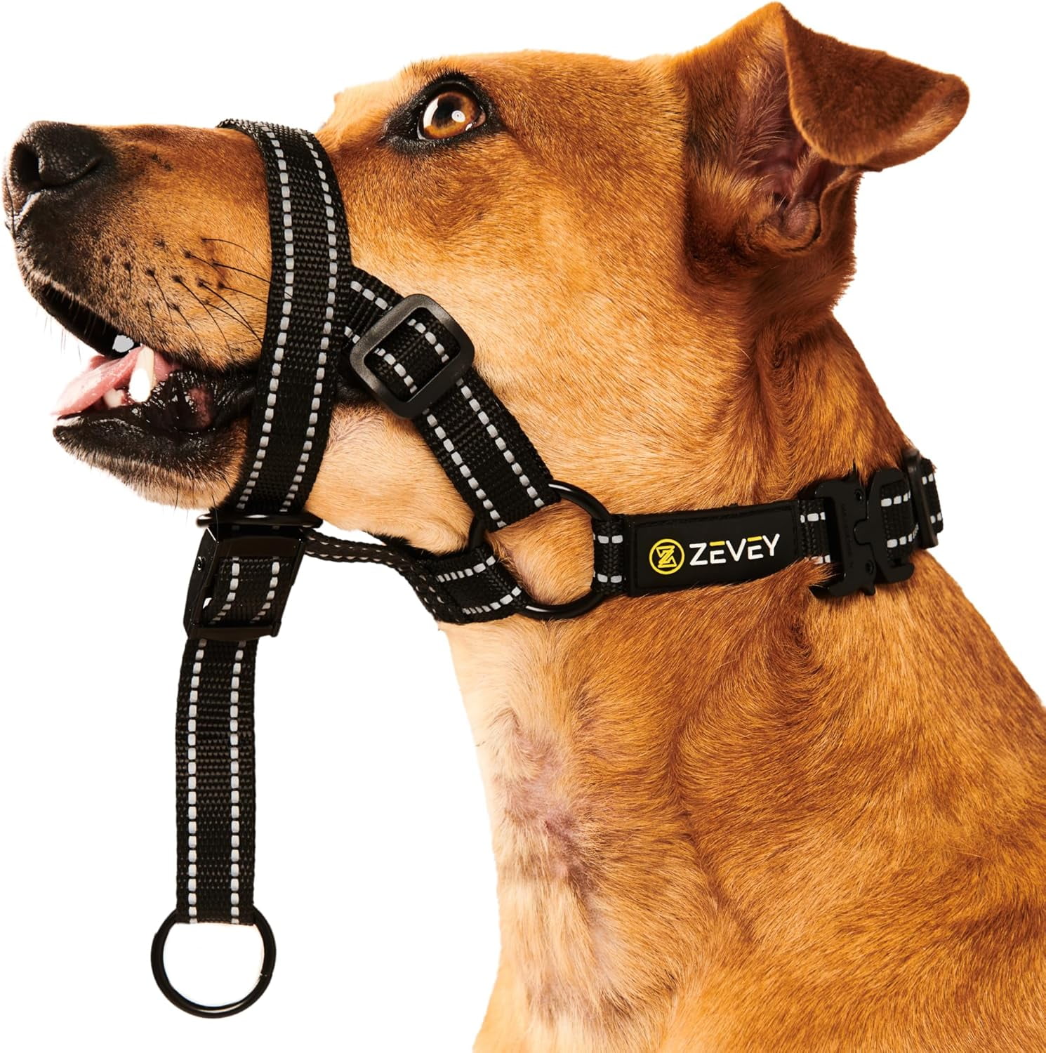 Adjustable Dog Head Halter with Safety Strap, Soft Padded Dog Head ...