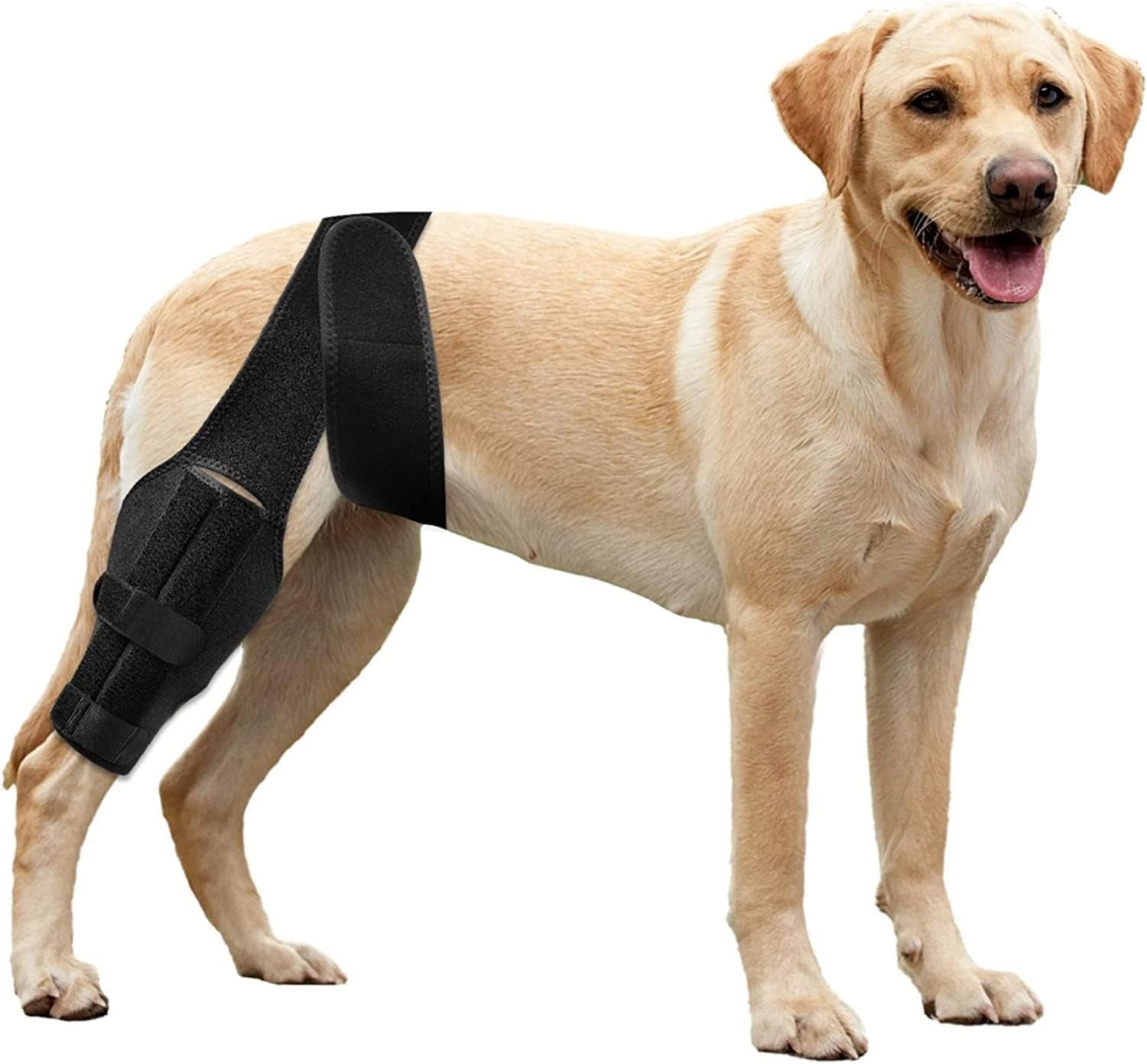 Adjustable Dog Knee Brace for ACL & Cruciate Ligament Support - Relief ...