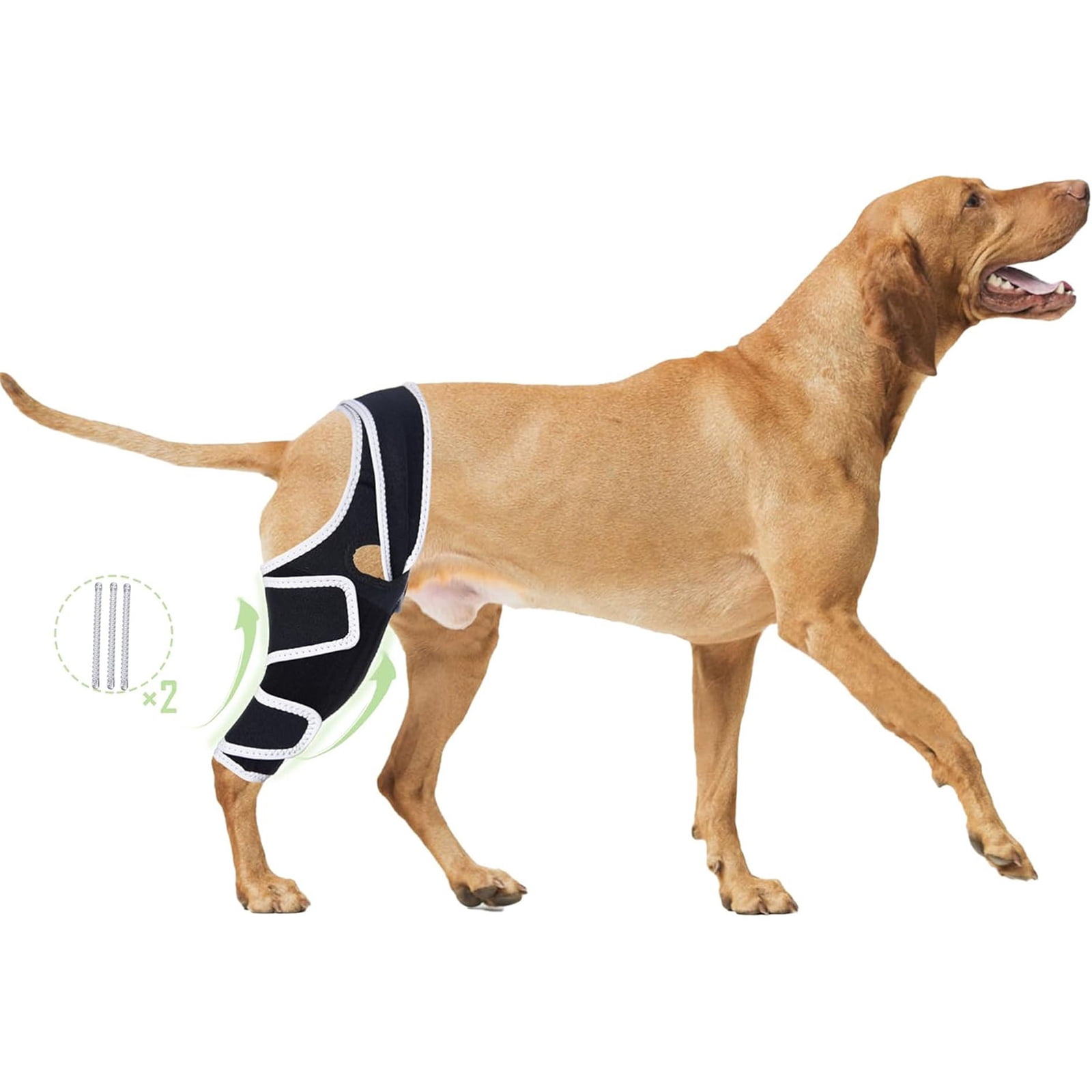 Adjustable Dog Knee Brace with Stabilizers - ACL/CCL Pain Relief ...