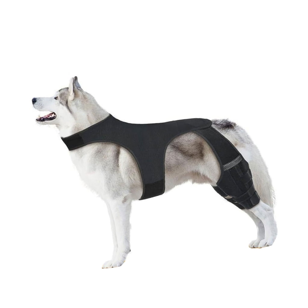 Adjustable Dog Leg Wrap Sleeve Flexible Leg Protectors Knee Brace for ...