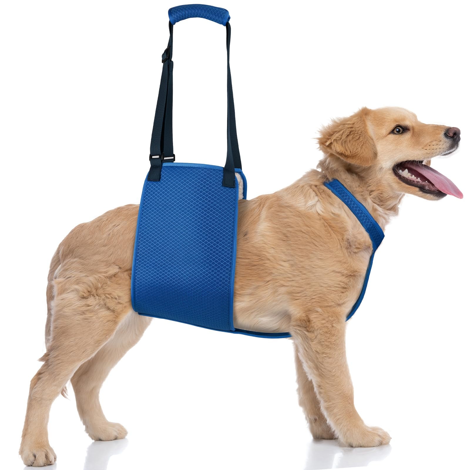 Adjustable Dog Lift Harness with Fixing ATT1Strap, Lift for Large Dogs ...