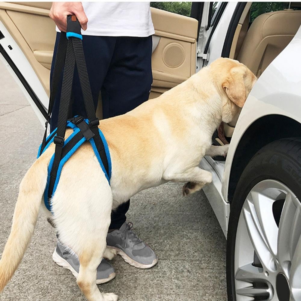 Adjustable Dog Lift Harness Pet Back Legs Support Sling Help Weak Legs ...