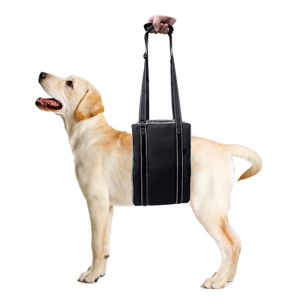 Adjustable Dog Lift Harness for Weak Rear Legs (S) - Soft Support for ...