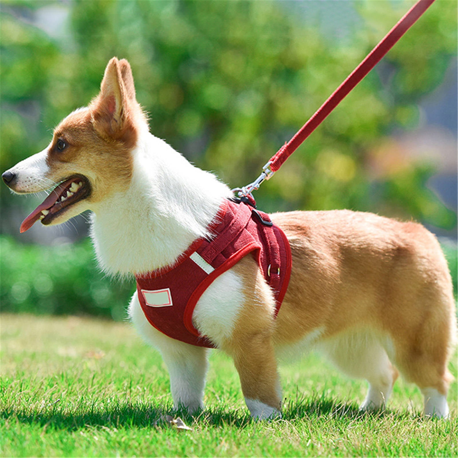 Adjustable Dog Step-In Harness & Leash Set – No Pull Corduroy Mesh Vest ...