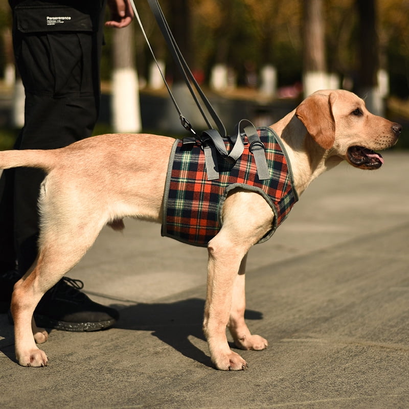 Adjustable Dog Support Harness for Front and Rear Legs Lifting ...