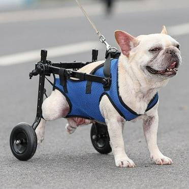 DOCRELD Dog Wheel Chair, 2/4 Wheel Front Back Wheels Dog Mobility Aid ...