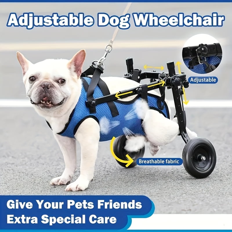 Adjustable Dog Wheelchair for Hind Leg Support – Lightweight Mobility ...
